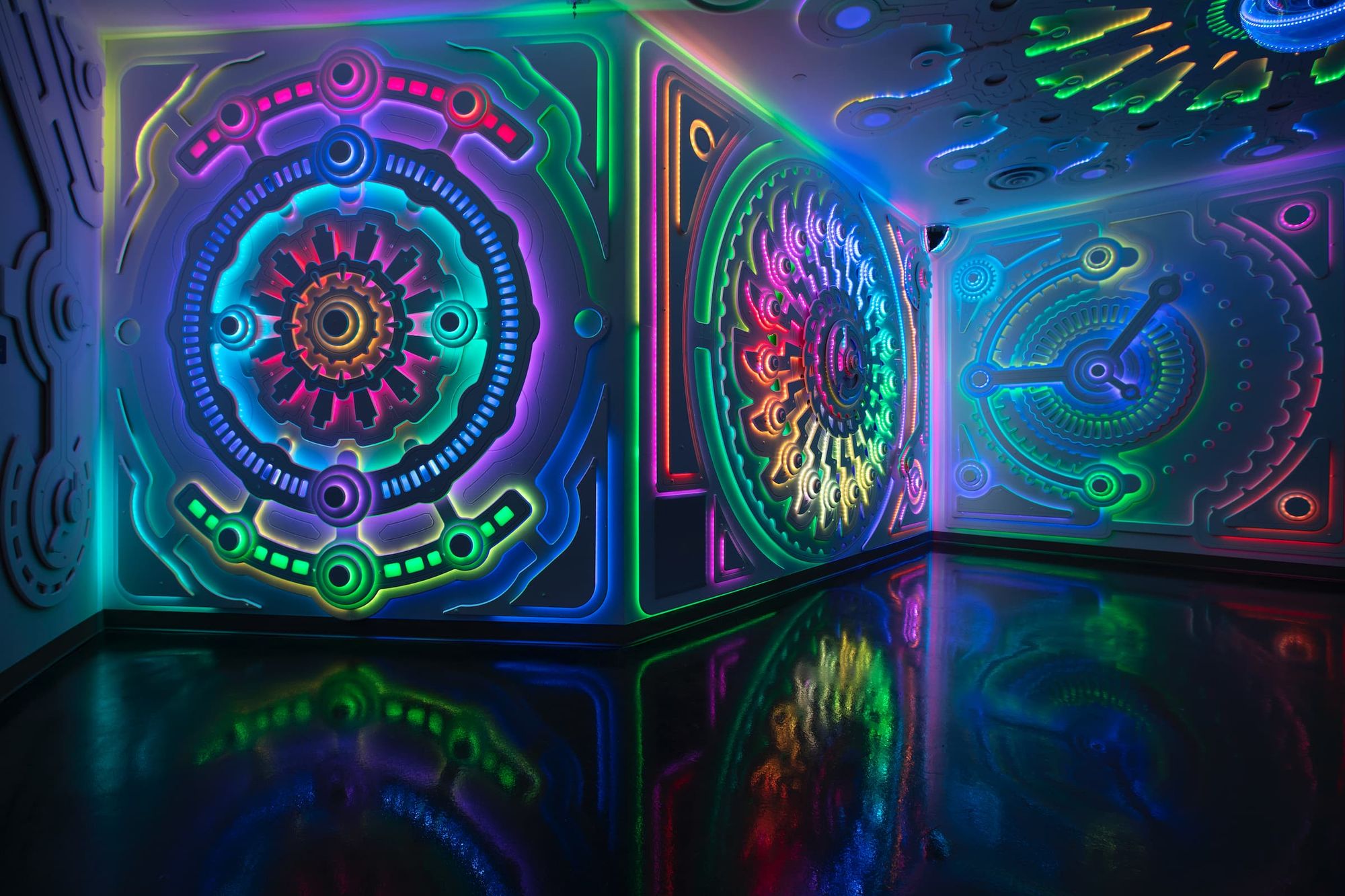 About | Meow Wolf