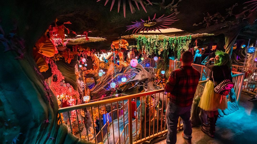 Meow Wolf Promo Codes & Discounts - 2025 Offers On All Locations