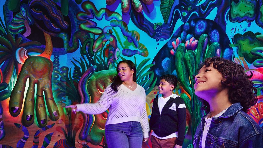 Meow Wolf Promo Codes & Discounts - 2025 Offers On All Locations