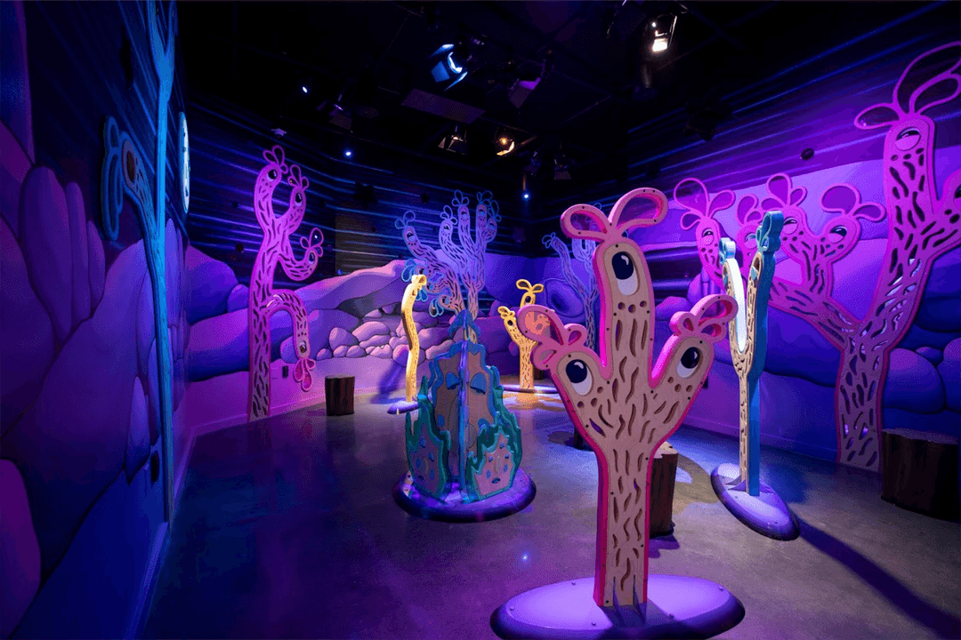 Spring Break in Houston, TX | Meow Wolf