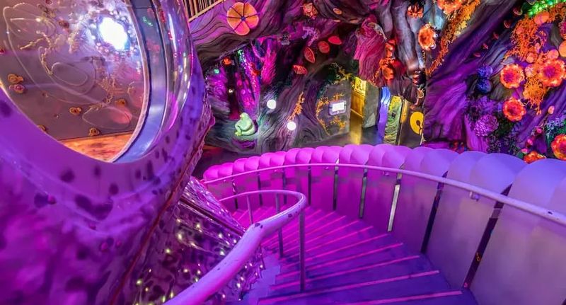 Meow Wolf Denver Ticket Options & Add-Ons